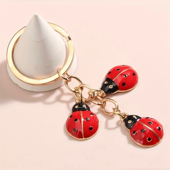 Accessories | Ladybugs Bag Charmkeychain New In Packaging | Poshmark